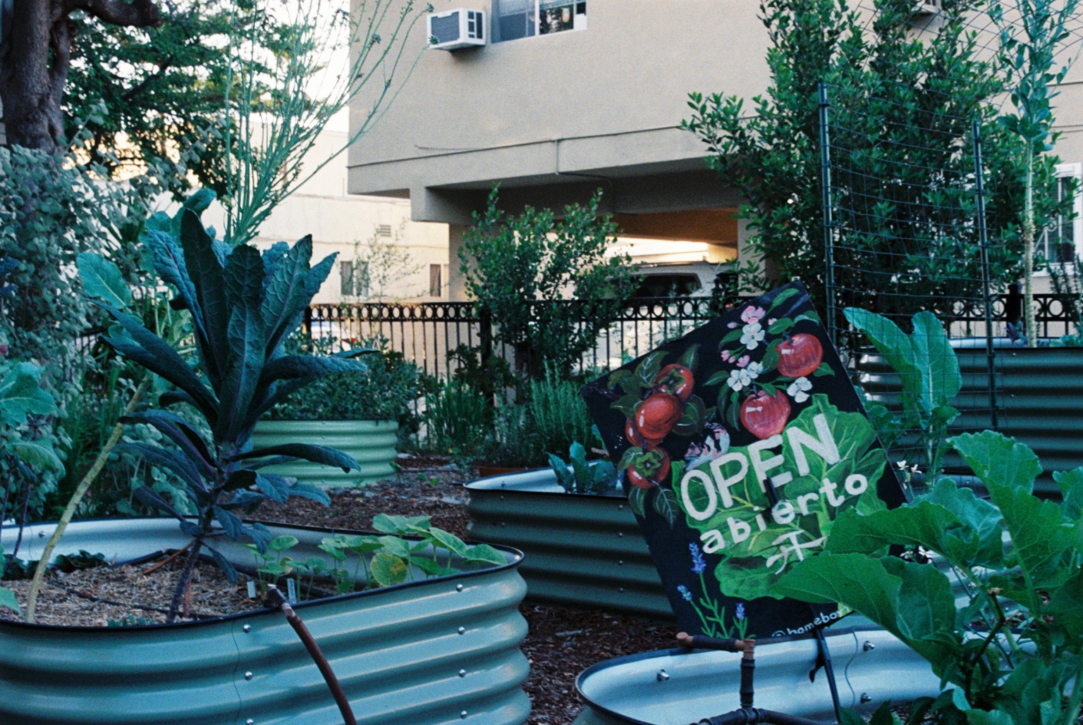 USC Peace Garden faces displacement - Daily Trojan