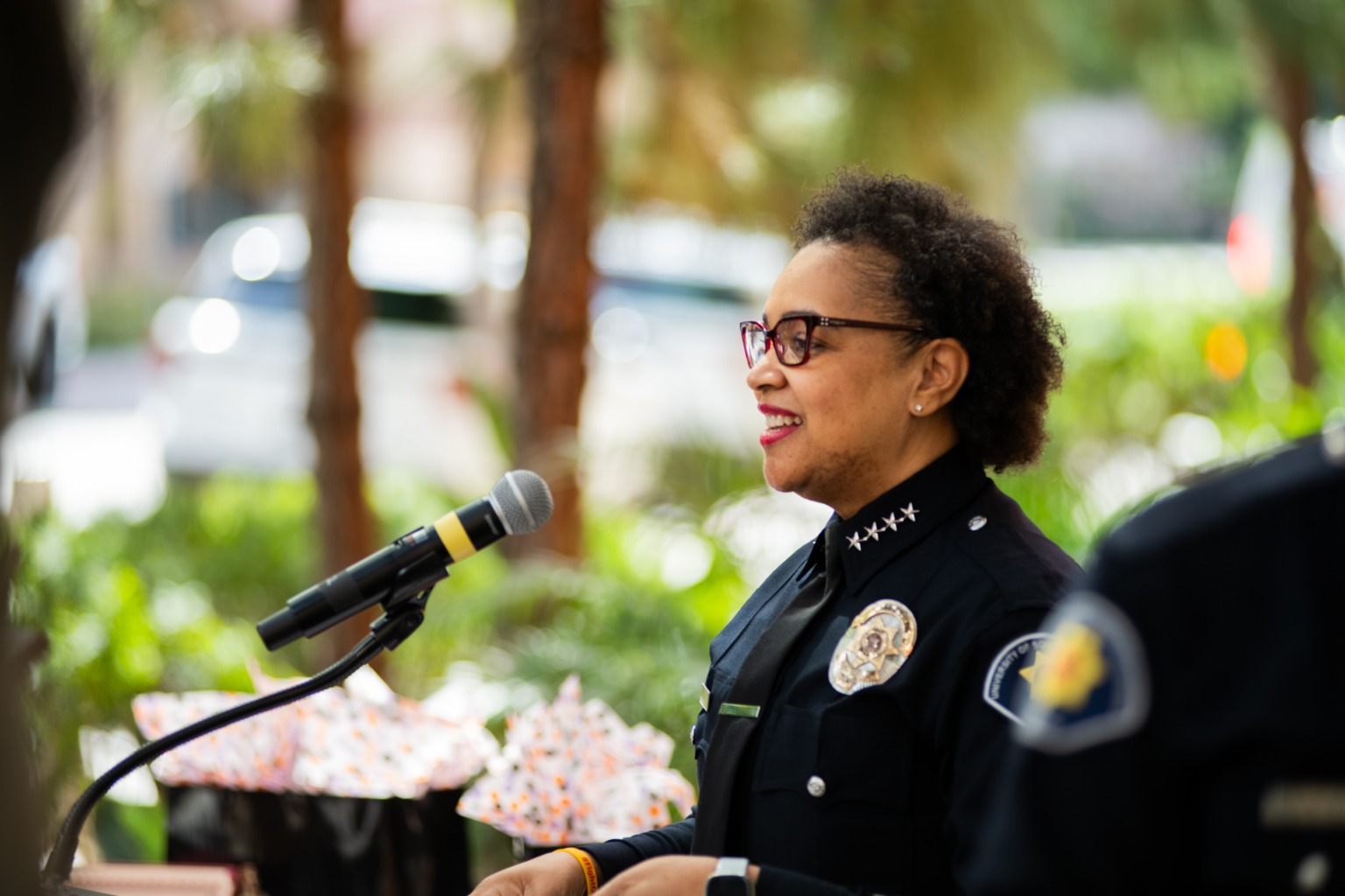 DPS chief discusses security checkpoints, ICE response protocol - Daily ...