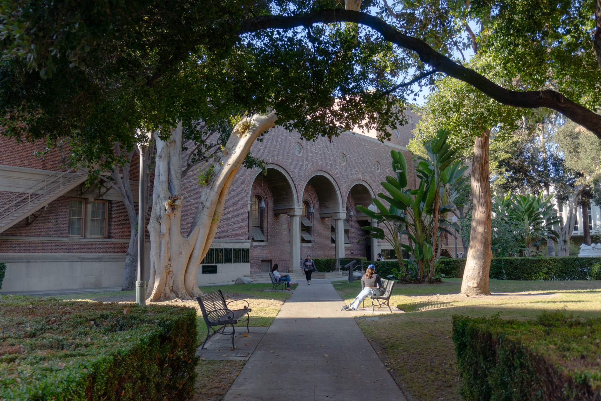 USC announces new pricing, course changes for Summer 2026 session ...